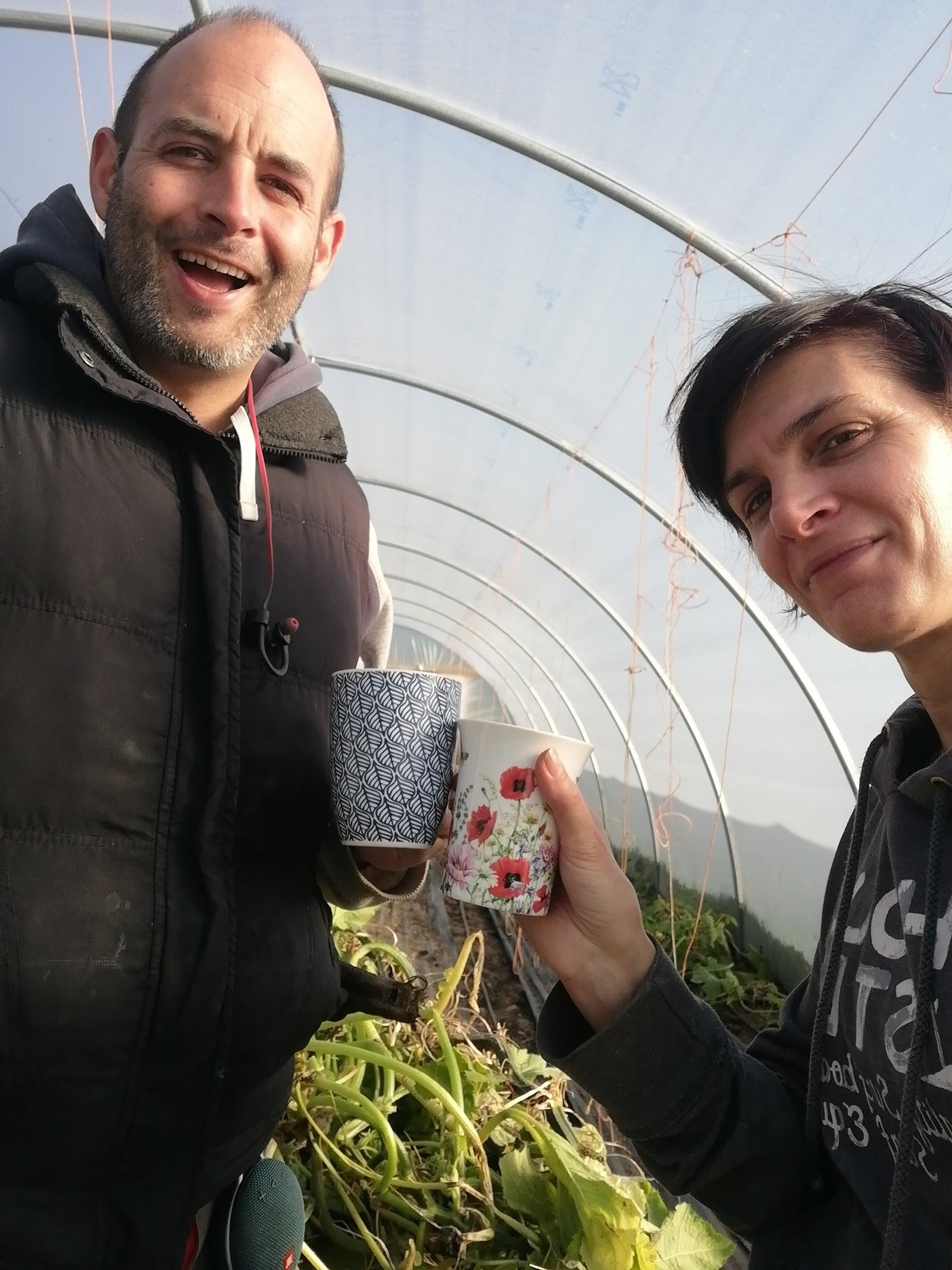 How to Grow Grapes in Cold Climates — Even When Winters Are Harsh!