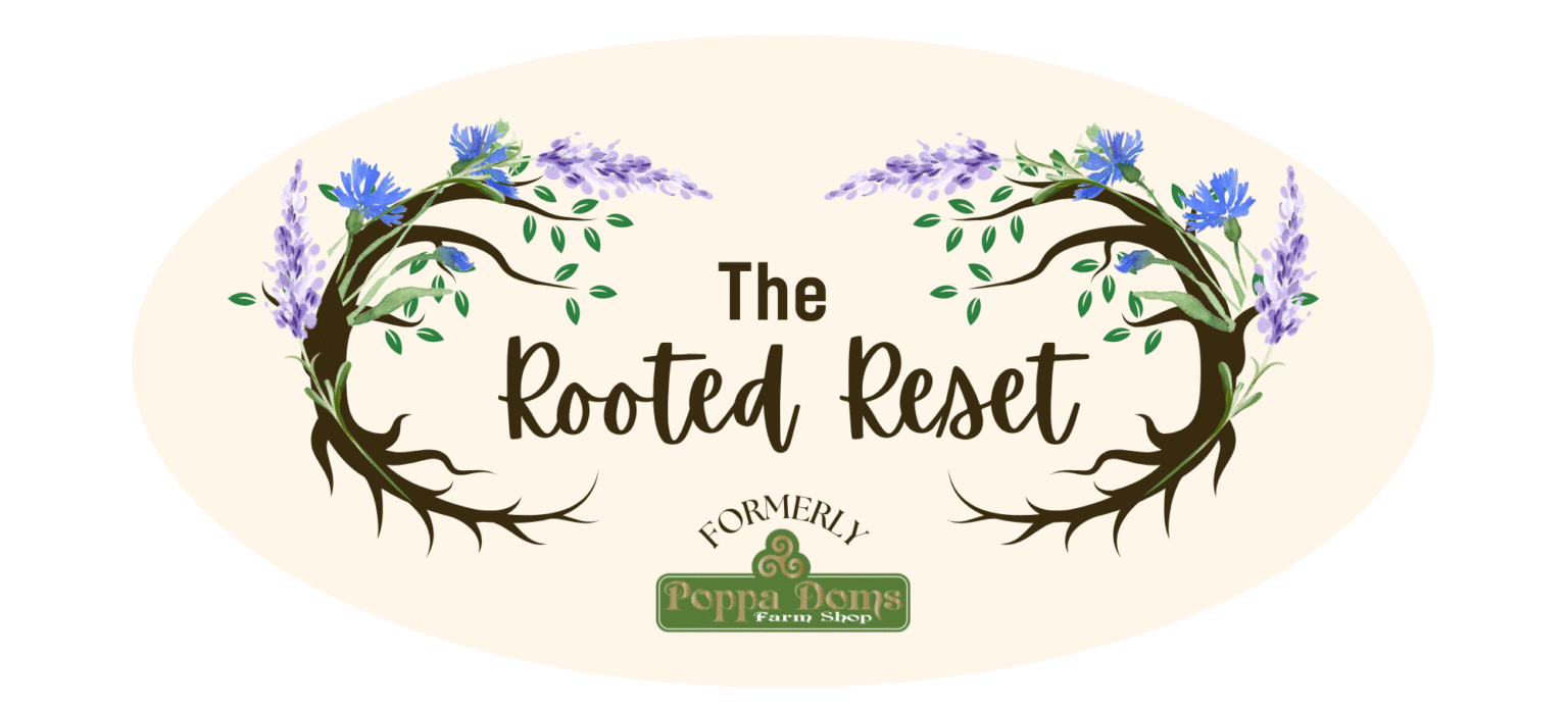 How to Grow Beetroot from Seed: Your Easy, Step-by-Step Garden Guide